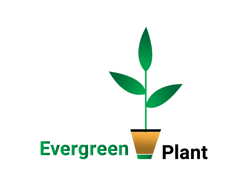 Evergreen plant logo 01 by Md Rasel Ali on Dribbble