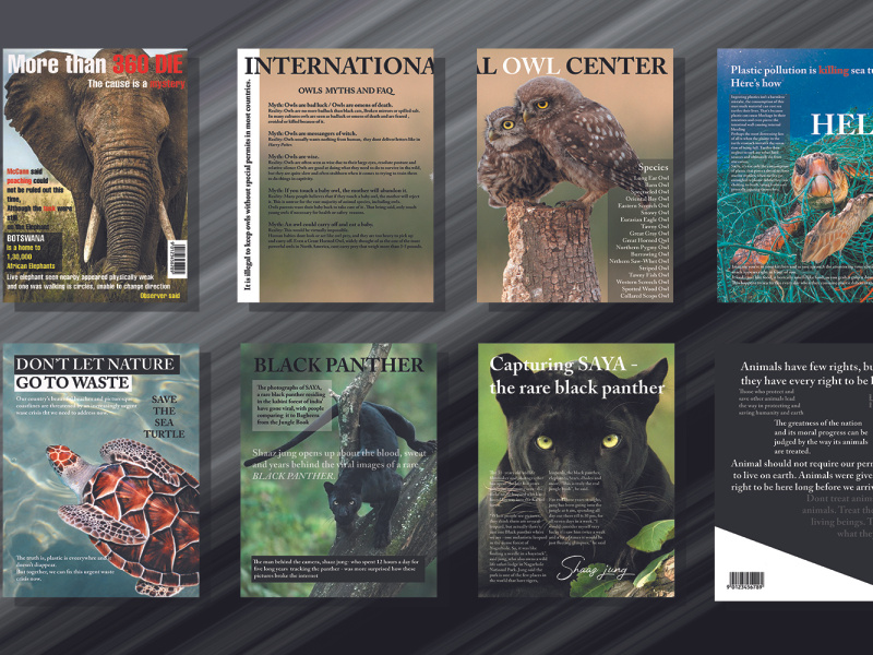 MAGAZINE 223 by sanket ghadigaonkar on Dribbble