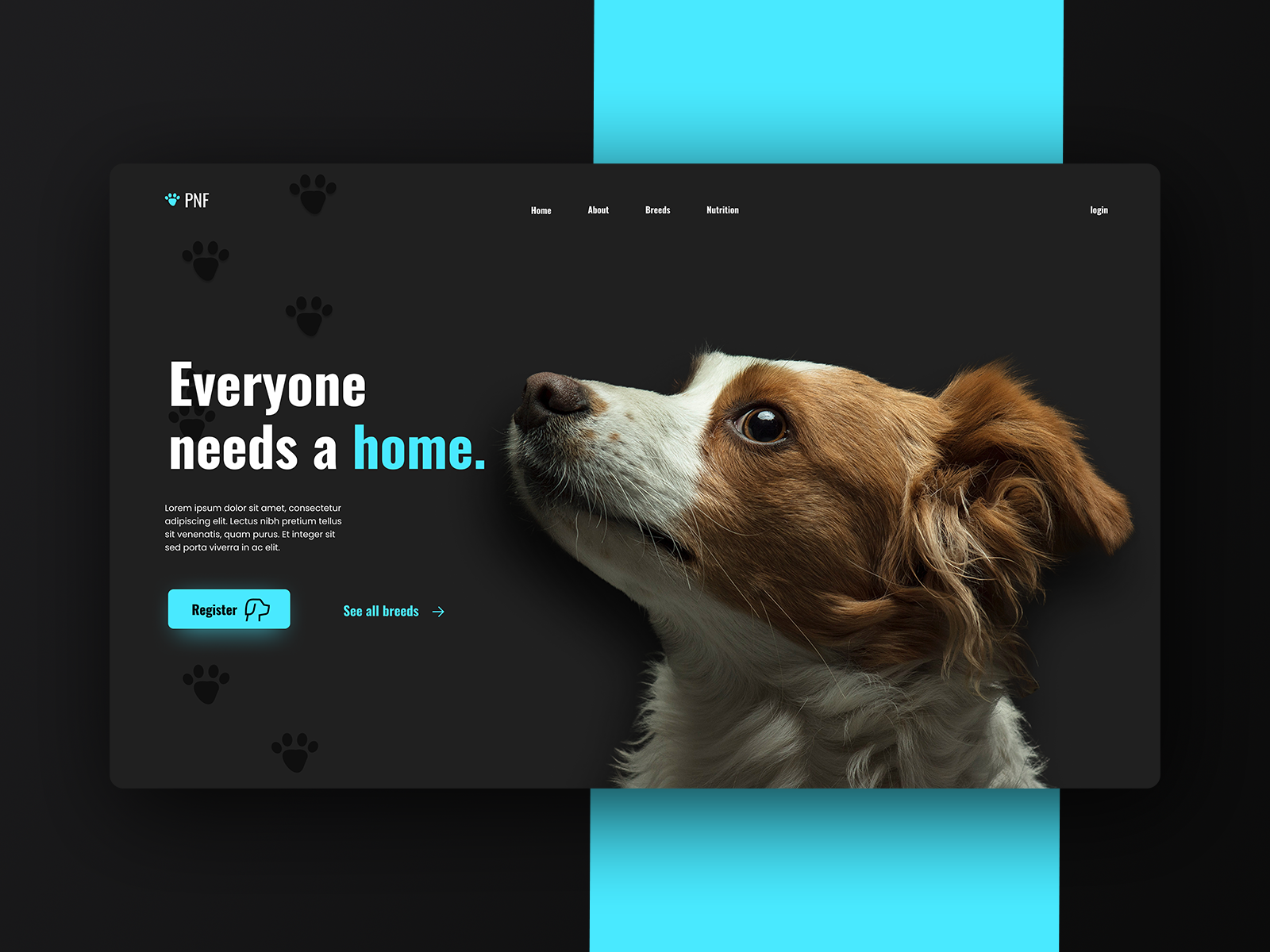 Pet adoption website by Joyson on Dribbble