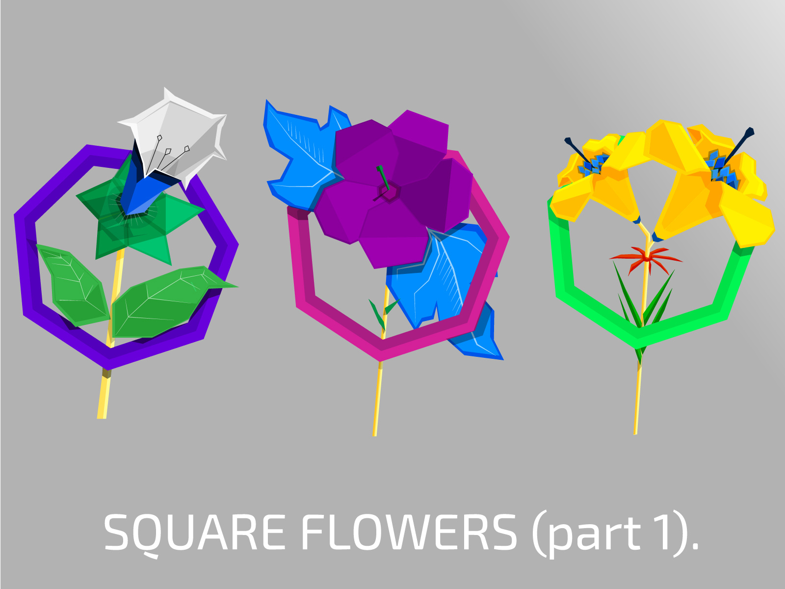 Square flowers by Anatoliy on Dribbble