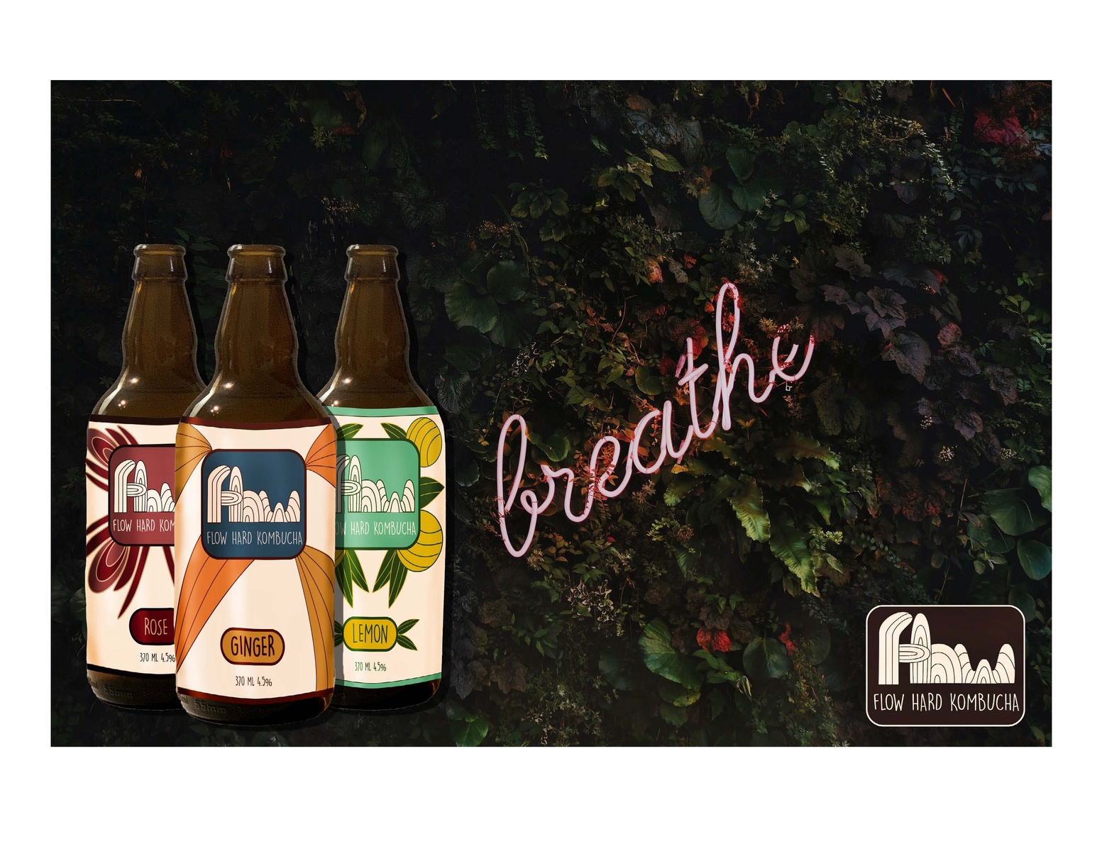 flow hard kombucha by Brooke Carter on Dribbble