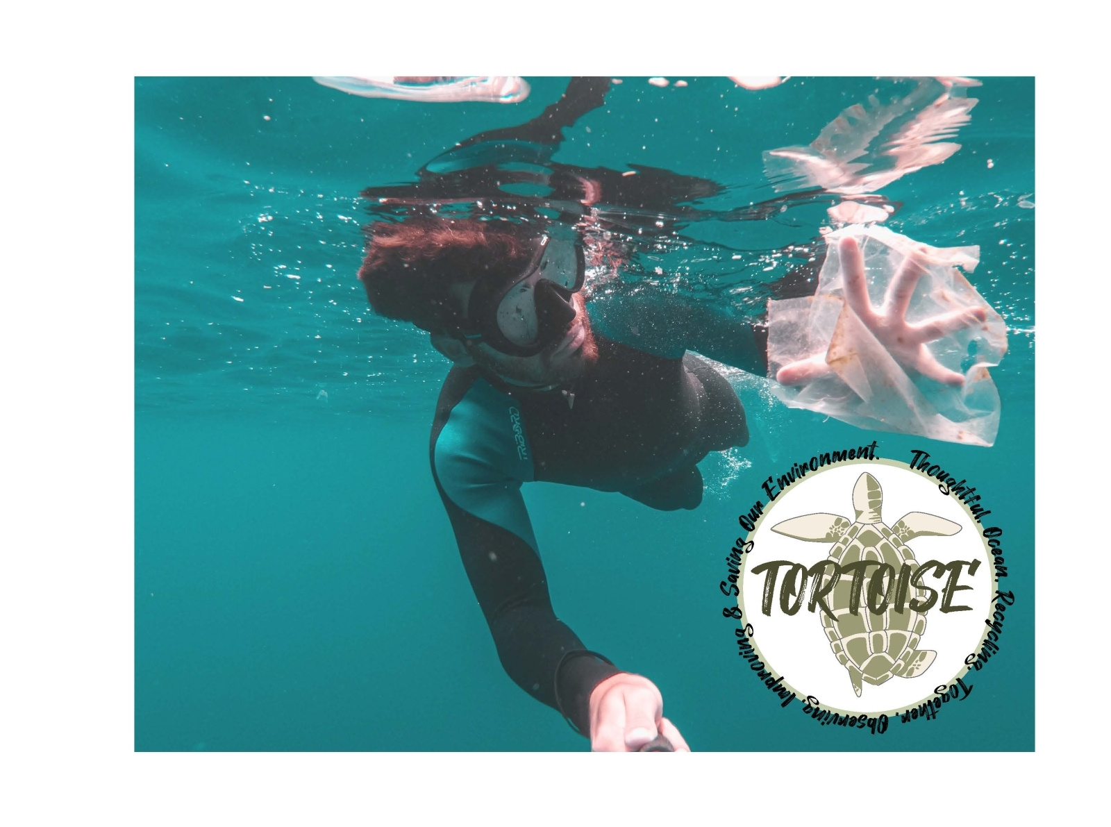 TORTOISE ad by Brooke Carter on Dribbble