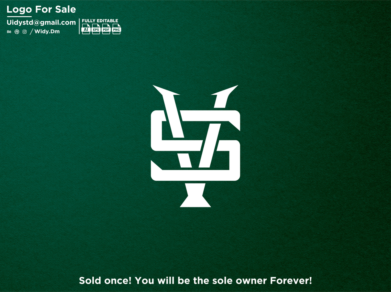 VS Monogram Logo by Widydm on Dribbble