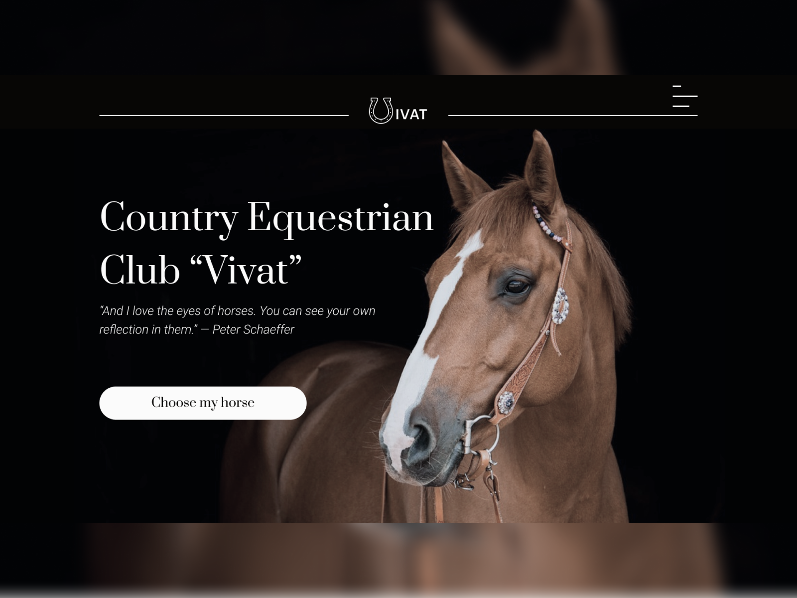 Equestrian club by Liubov L on Dribbble