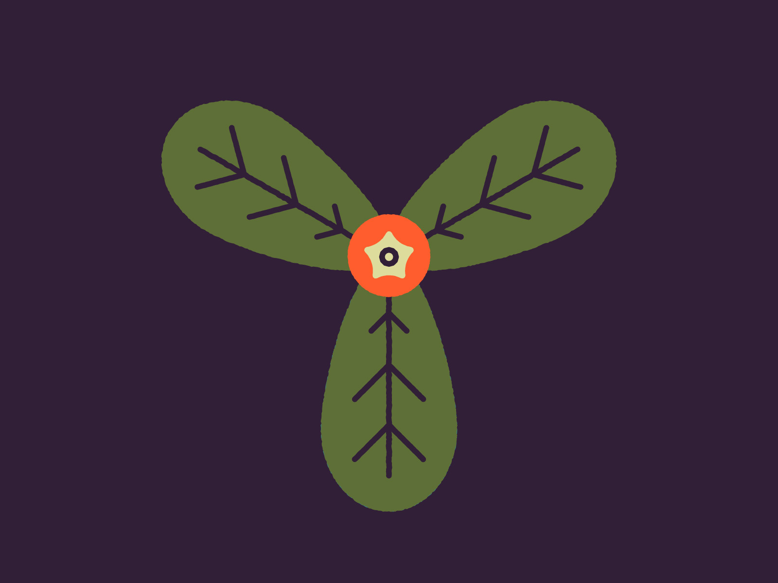 Wintergreen by Kim Lawler on Dribbble