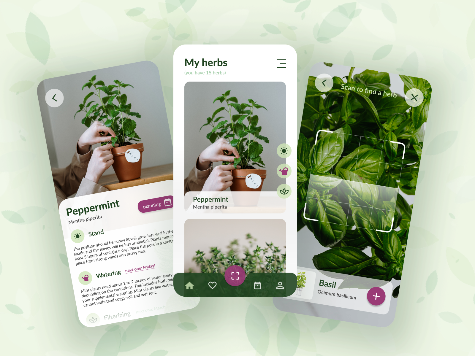 My herbs App by Alicja for Jit Team on Dribbble