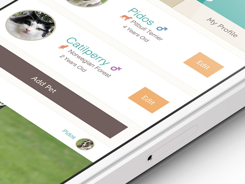 add pet app screen by Hakan Terzi on Dribbble