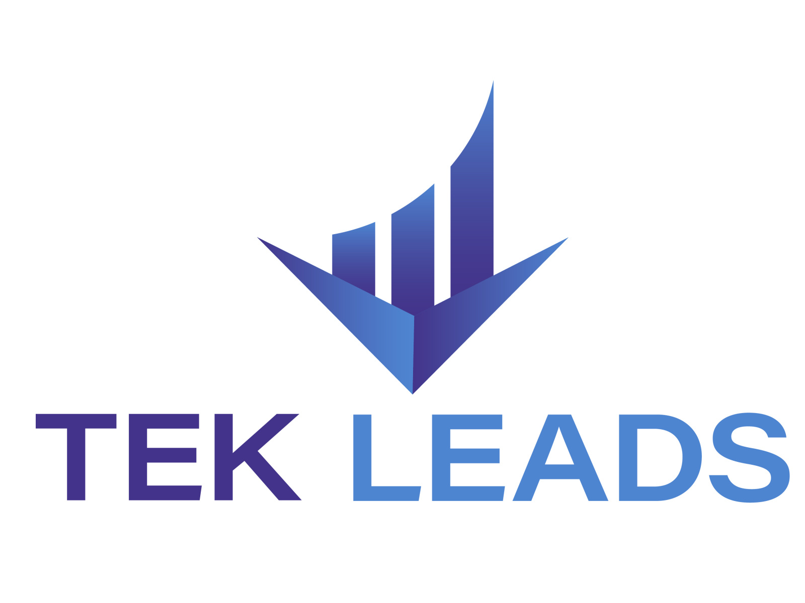 Tek Leads Logo Design by Mariia Sirenko on Dribbble