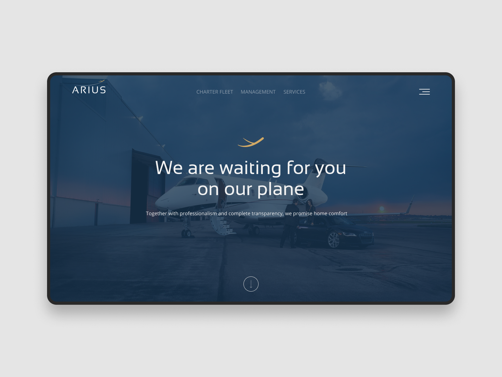 Arius by Dizary_team on Dribbble
