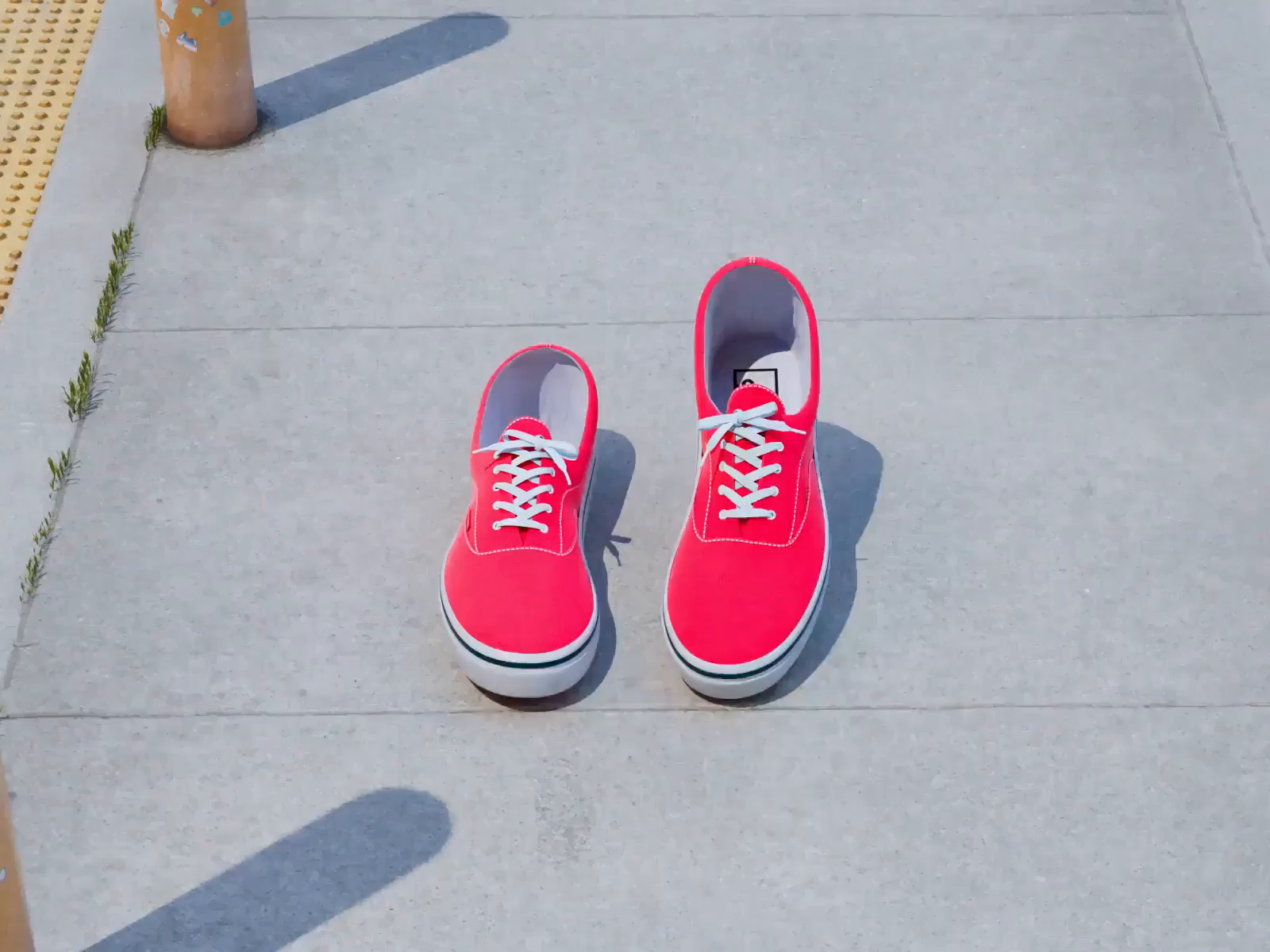 Photorealistic Vans Sneaker Animation by Barry for Zajno on Dribbble