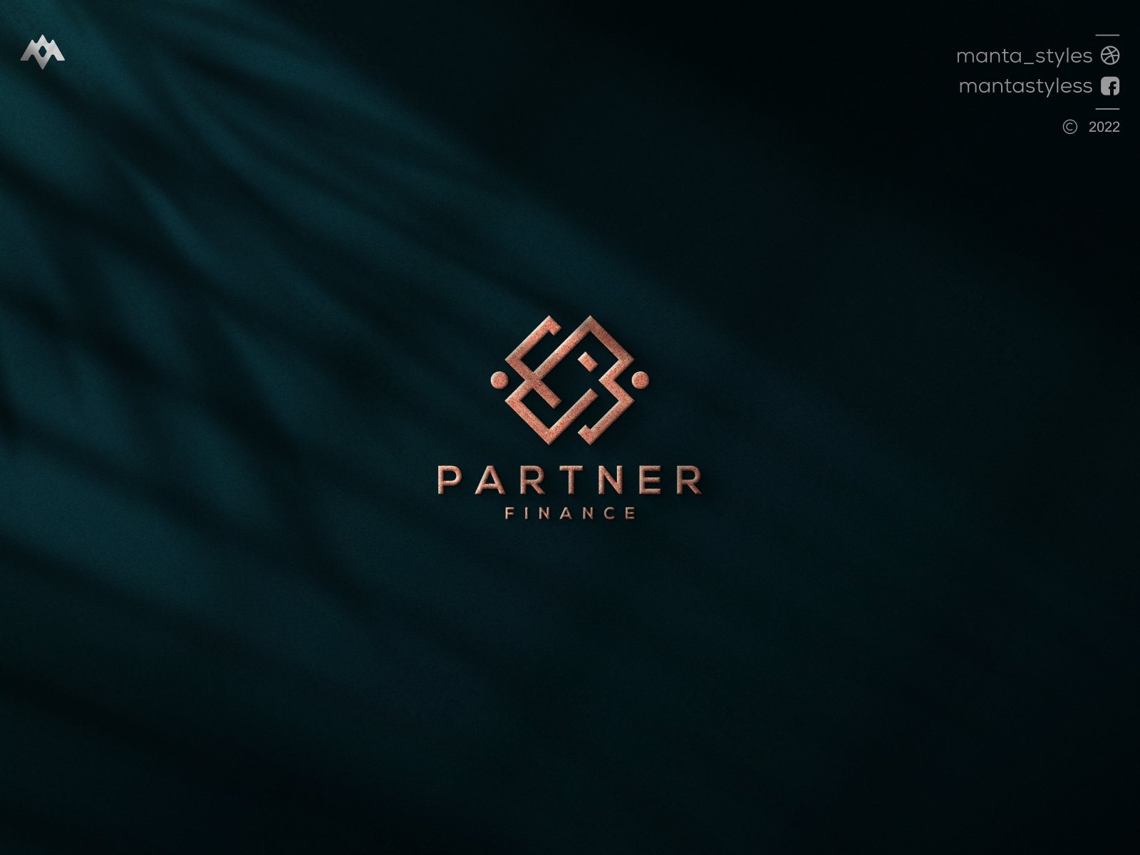 PARTNER FINANCE by Manta_styles on Dribbble