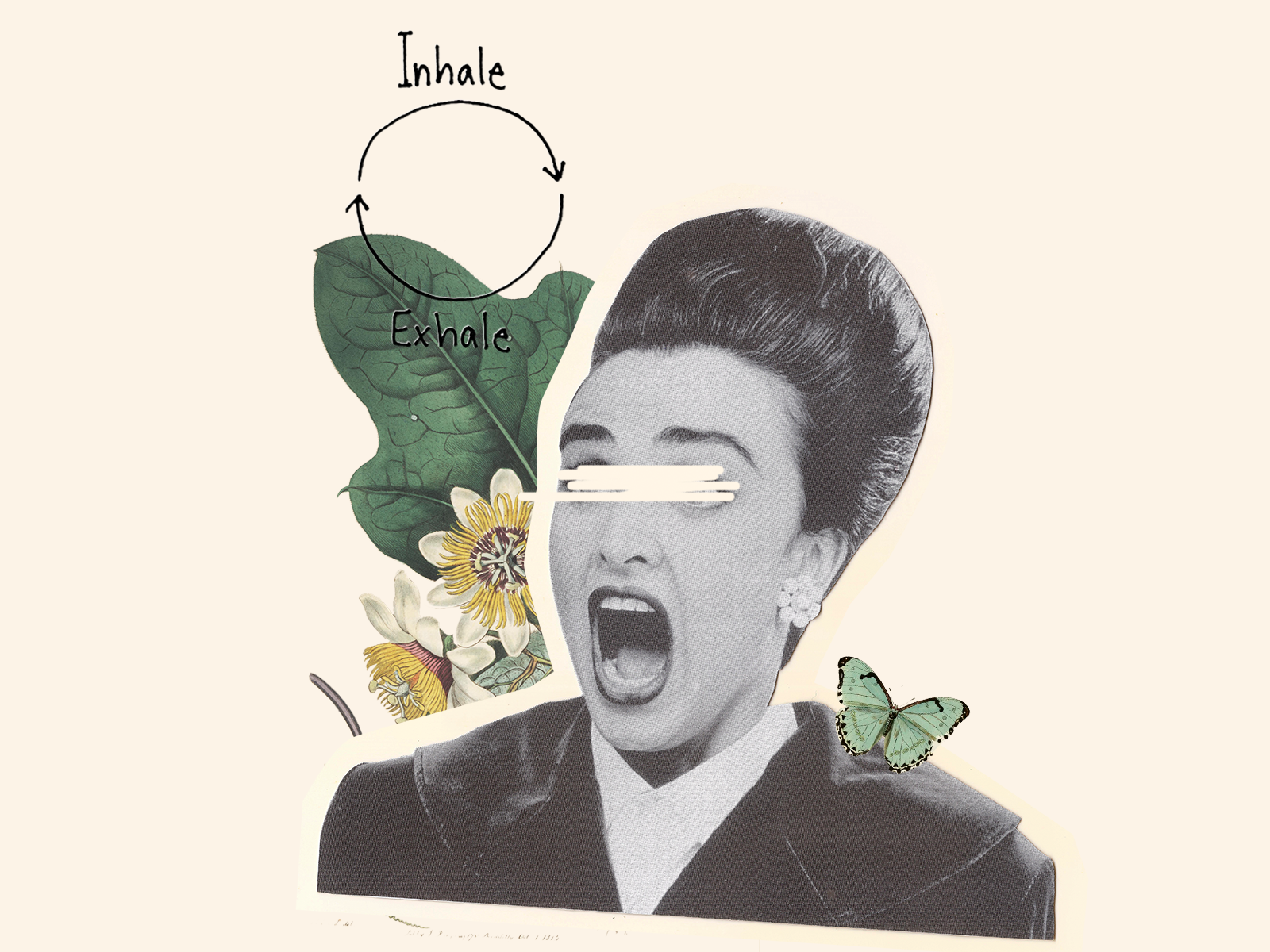 Angry by Casulo Studio on Dribbble