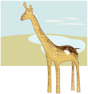 Giraffe by Alison McAfee on Dribbble