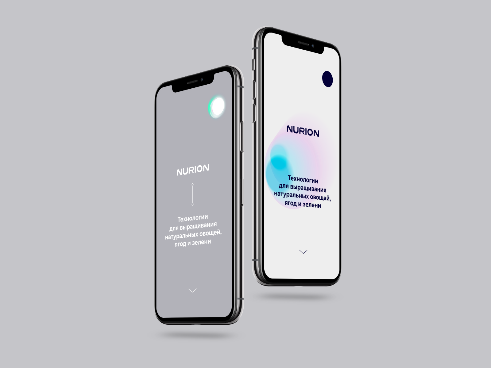 Nurion branding by Beso Turazashvili on Dribbble