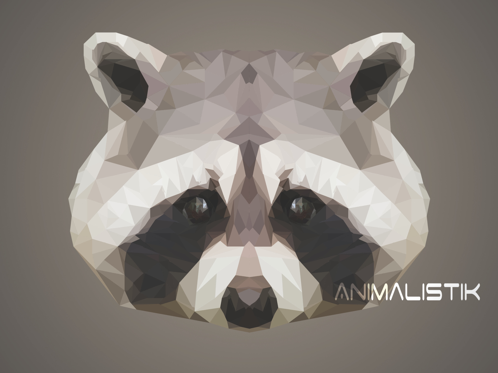 Low Poly Racoon by Anirudh Krishna on Dribbble