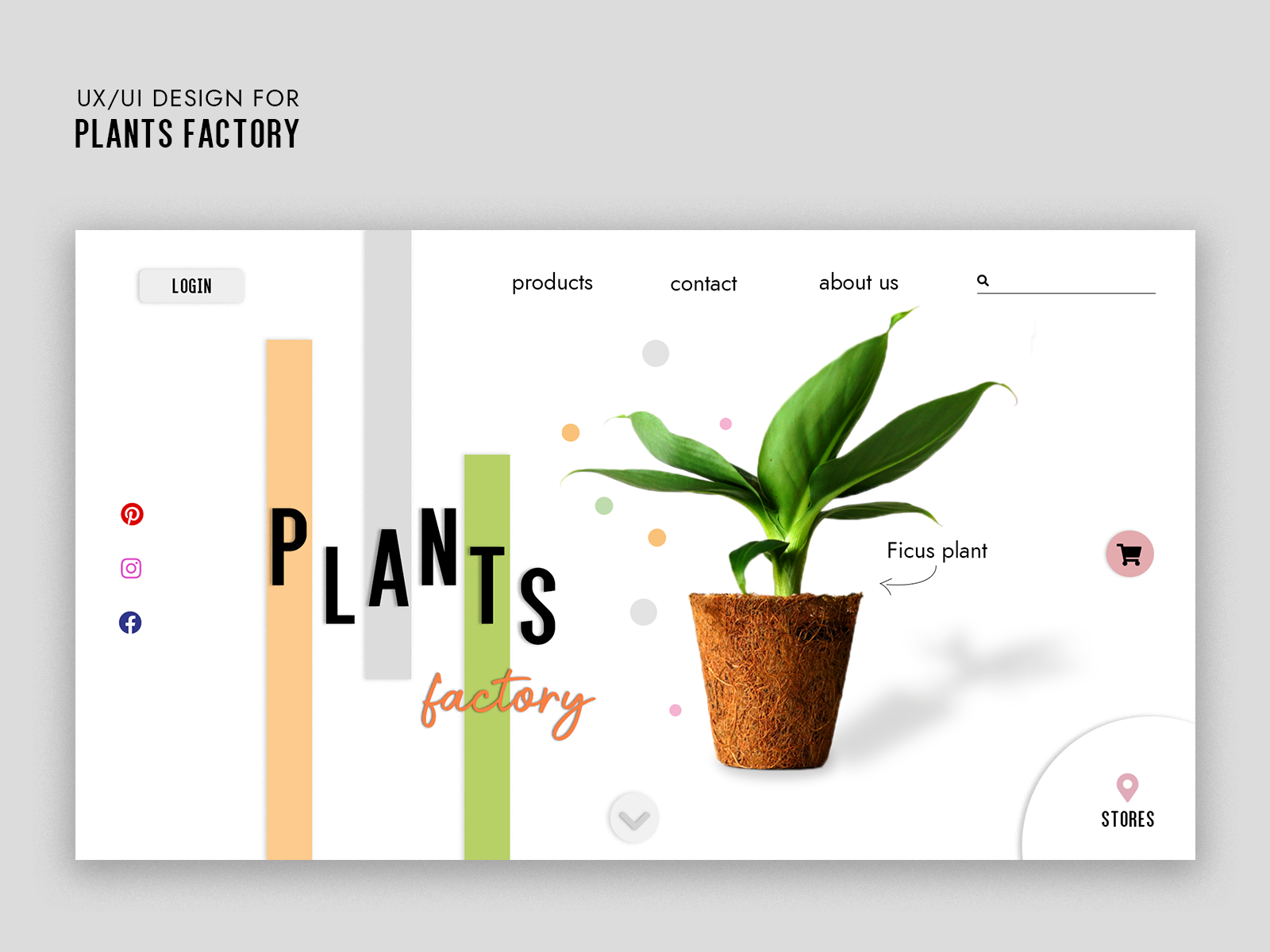 Plants factory by Emily Teixeira on Dribbble