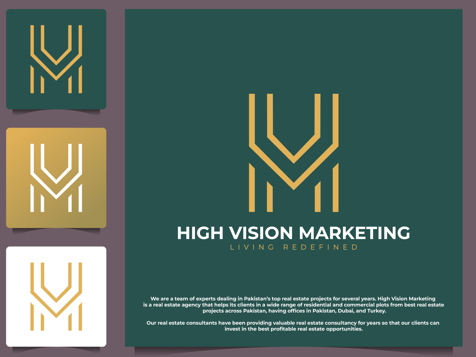 High Vision Marketing Logo Design & Branding Work by Nabeel Ahmed on ...