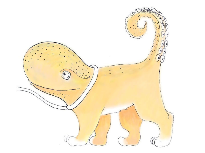 Octo puss by Lucy Reading-Ikkanda on Dribbble