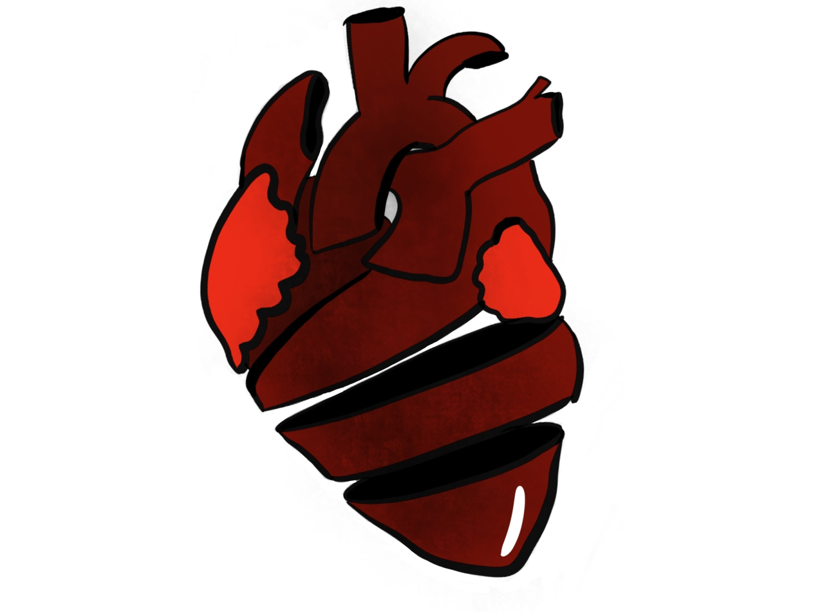 Tiny hands by Judith on Dribbble