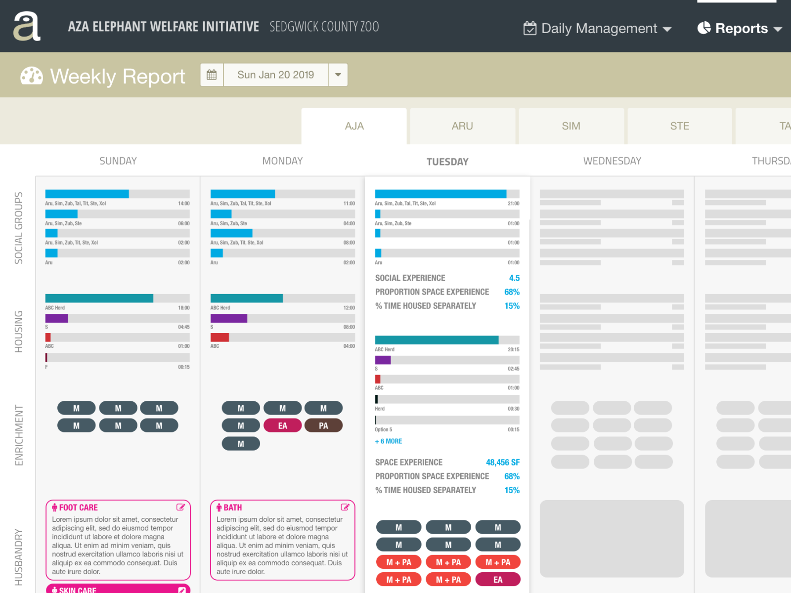 Weekly Report by Douglas Meehan on Dribbble
