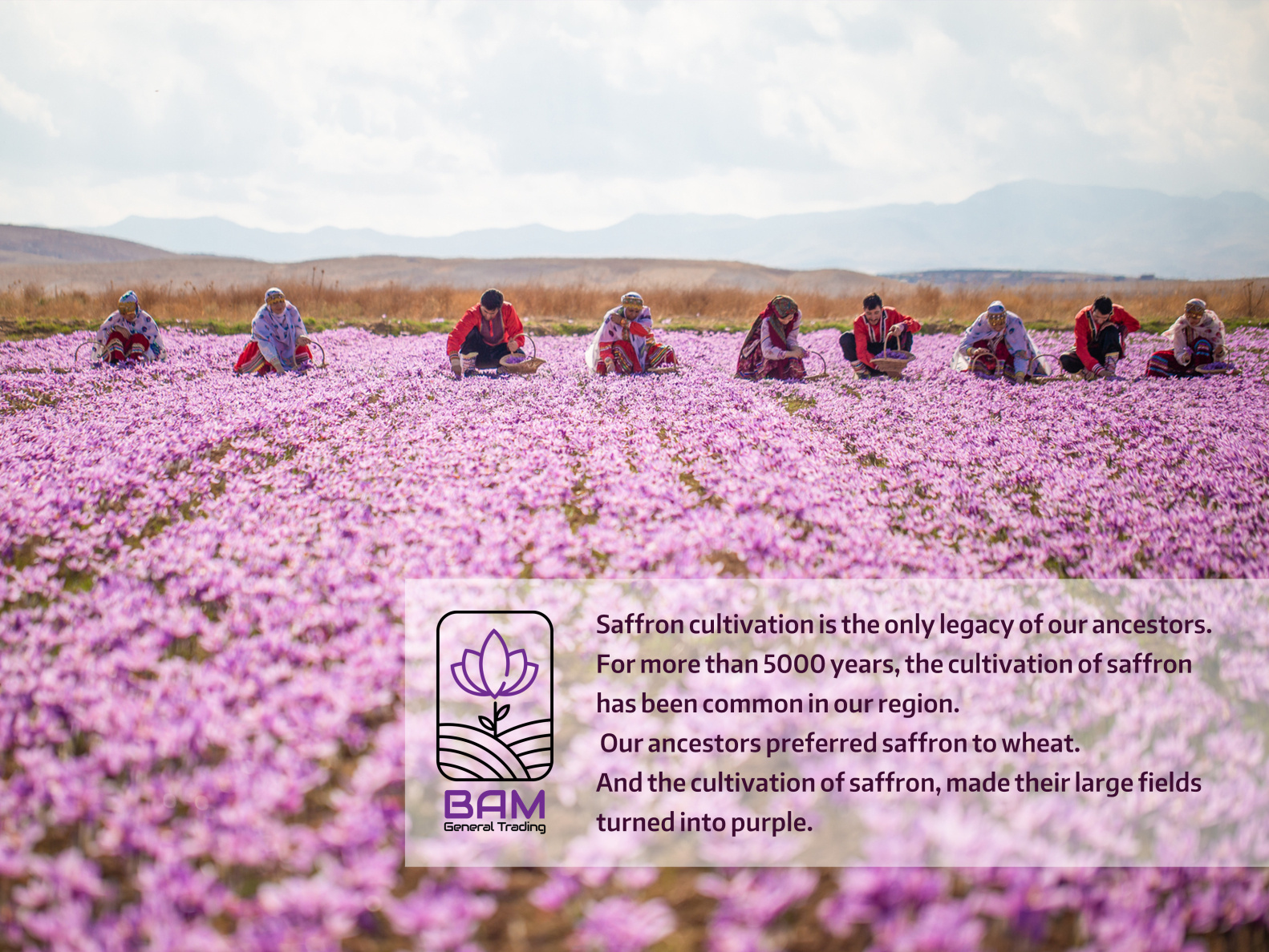 BAM General Trading Company Identity Design Project by Ebrahim Ashouri ...