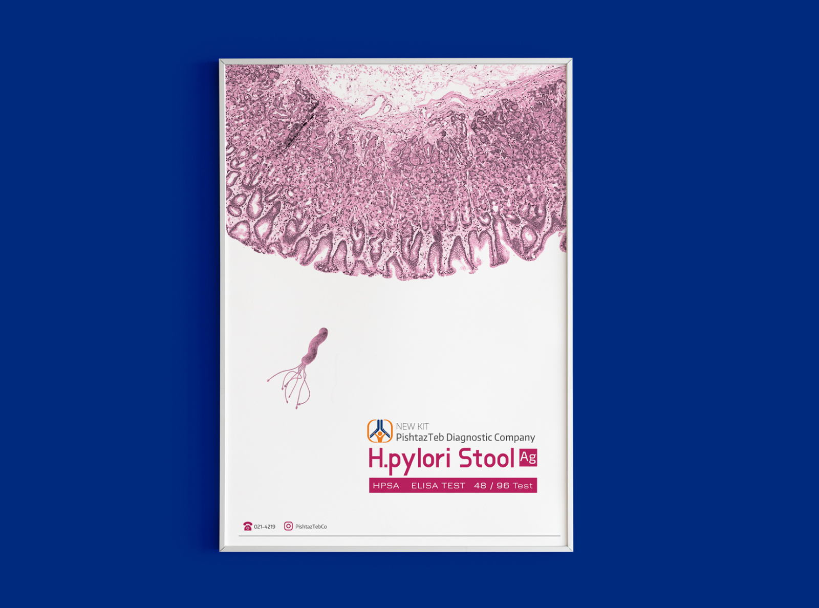 H.pylori stool Poster pishtazteb company by Ebrahim Ashouri on Dribbble