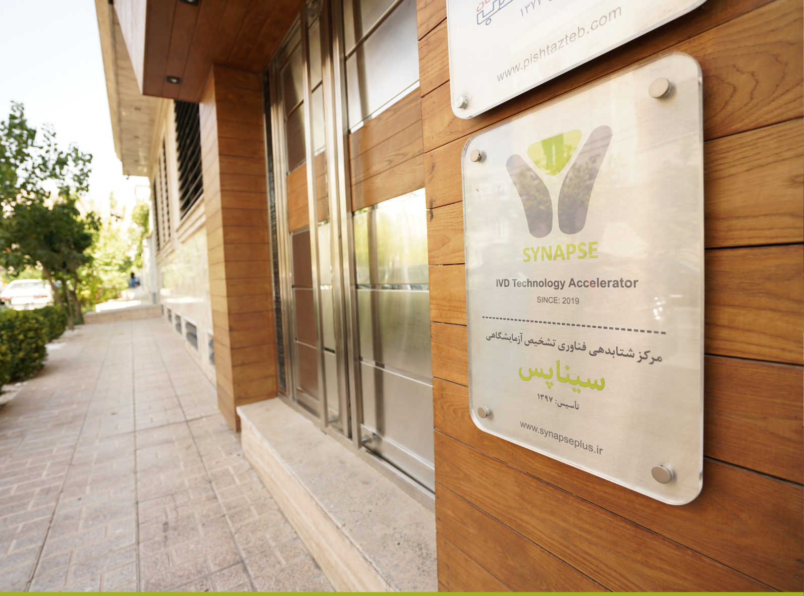 SYNAPSE Accelerator Logo Design by Ebrahim Ashouri on Dribbble