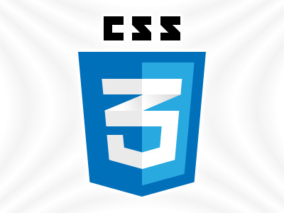 CSS3 Logo by Mohl Design on Dribbble