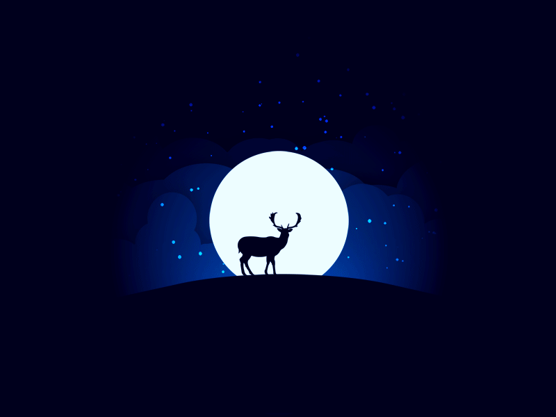 Moonlight by Vita Designer on Dribbble