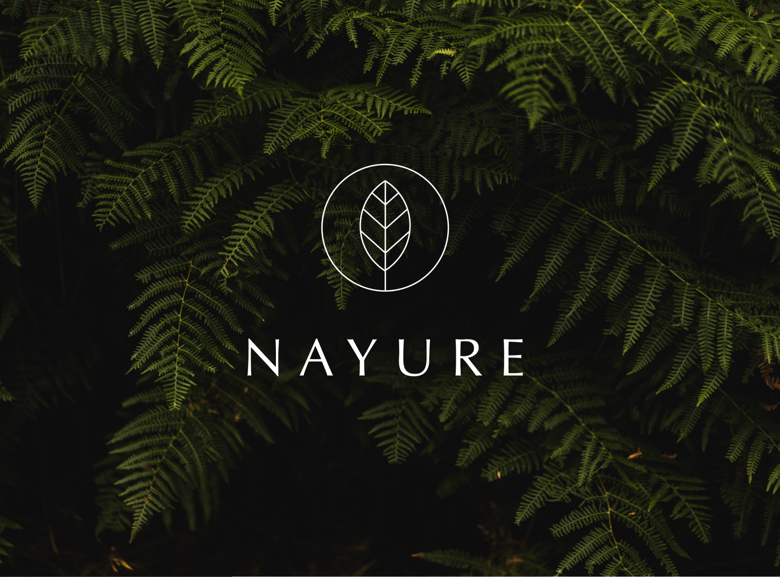 Logo Design for a Nature Brand by Diana L. on Dribbble