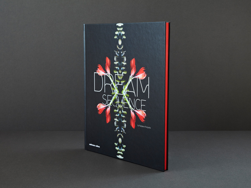 DREAM SEQUENCE – BOOK by Eugen La. on Dribbble