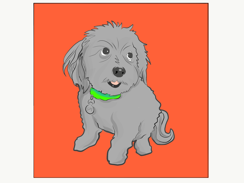 Sweet Babe By Linus Schief On Dribbble