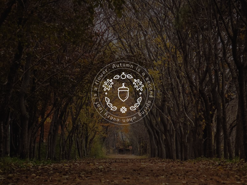 Atumn icon by Oh Namkyung on Dribbble