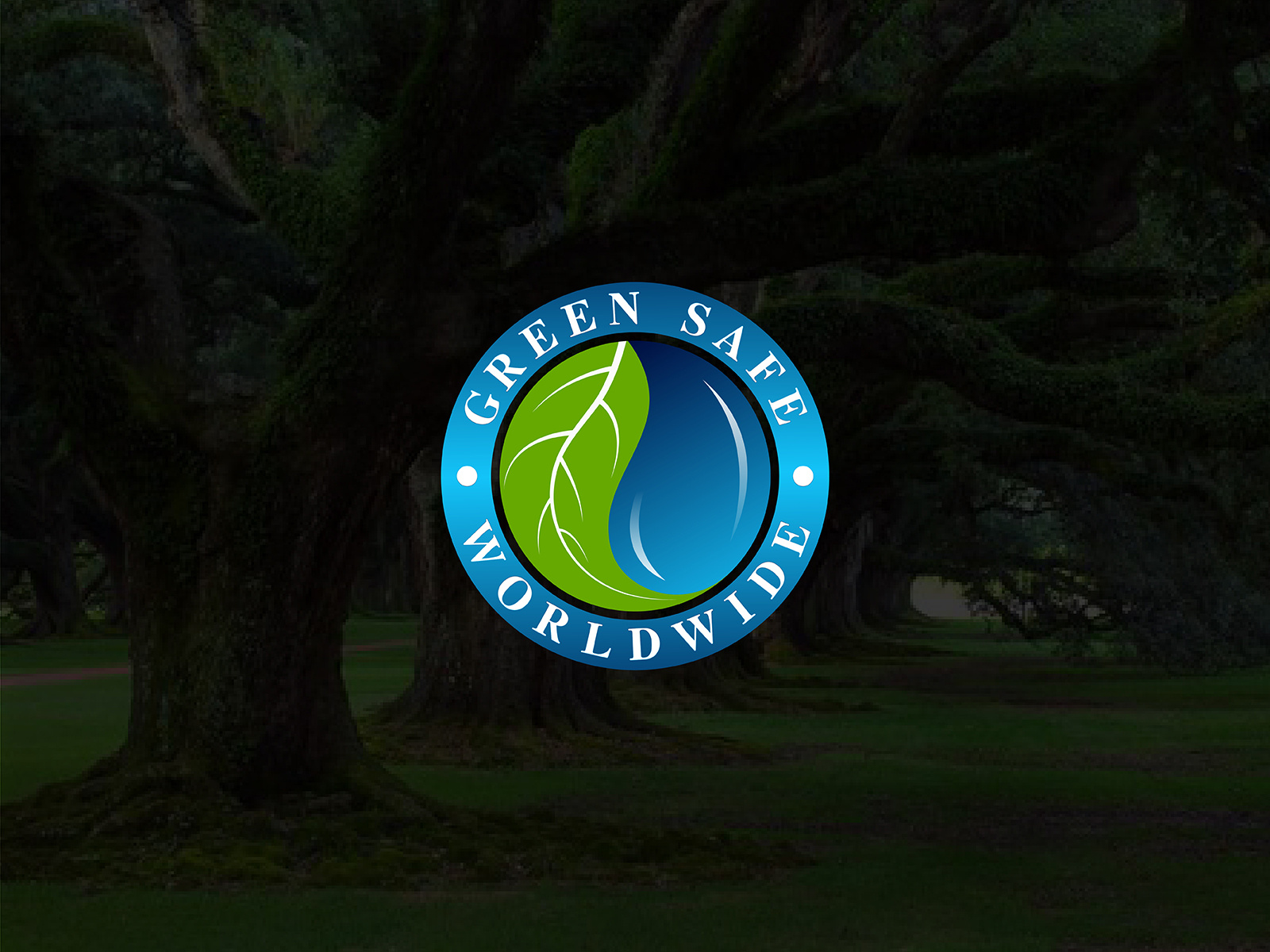 Green Safe Logo Design by The Graphic Owl on Dribbble