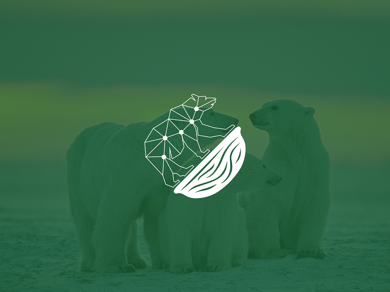 Technology Logo Design by The Graphic Owl on Dribbble