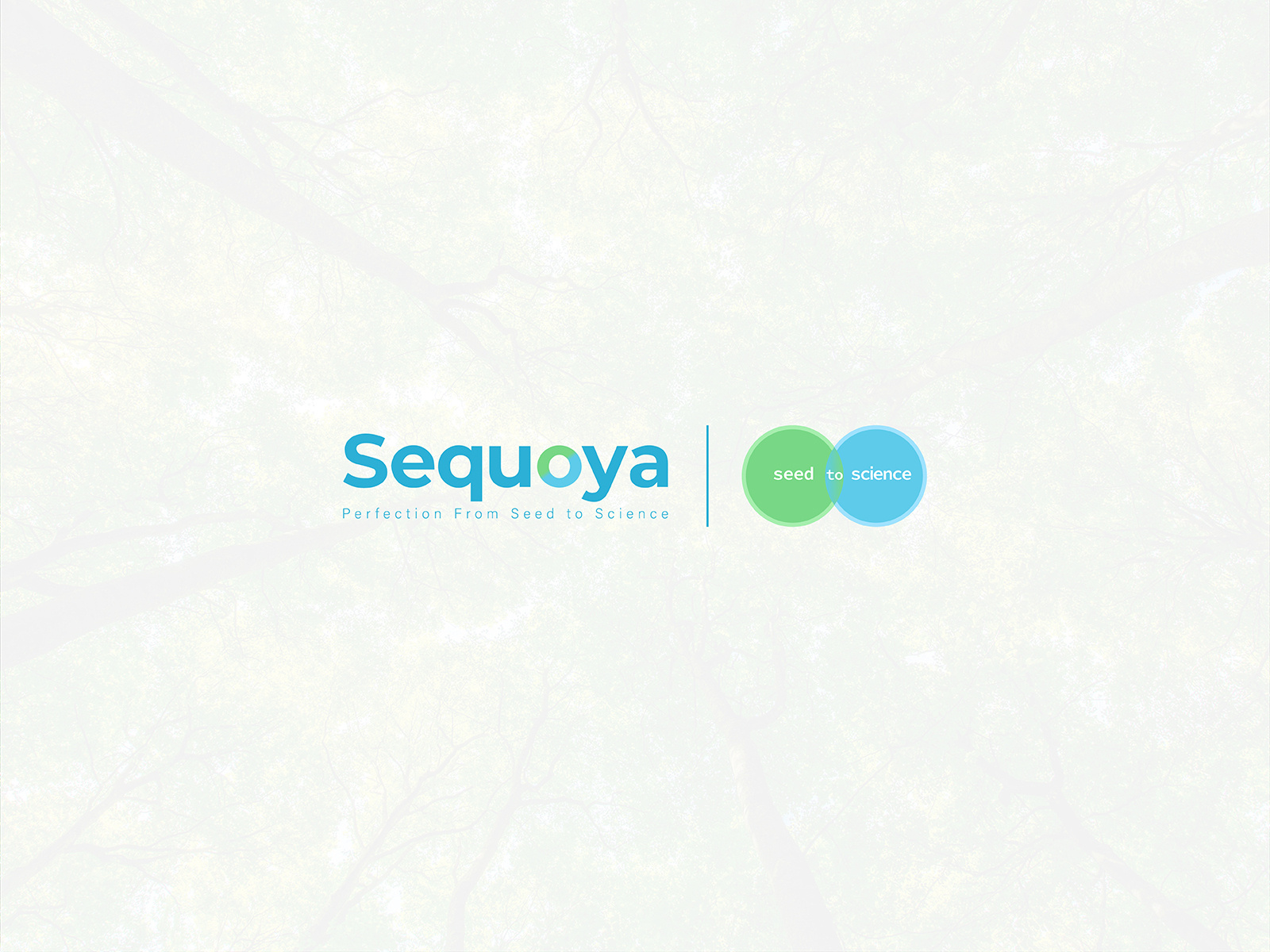 Science Logo Design by The Graphic Owl on Dribbble