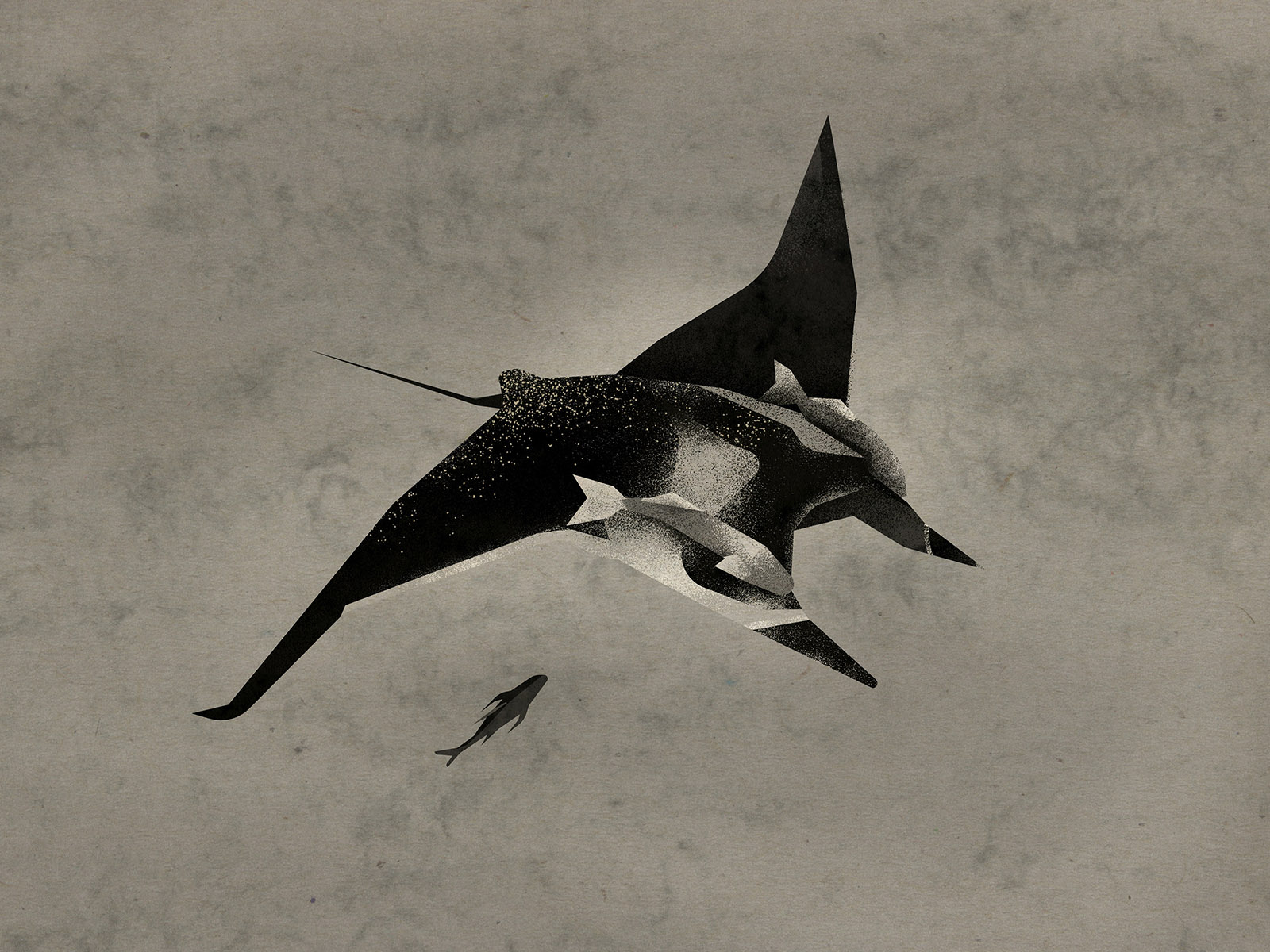 Sea devil by Agnieszka Rasch on Dribbble