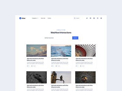 Personal Blog Template: Other Pages by Eren on Dribbble