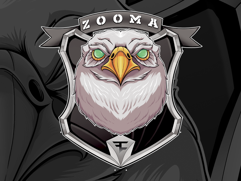 Zooma - FaZePro by Tobias "Zaibot" Damm on Dribbble