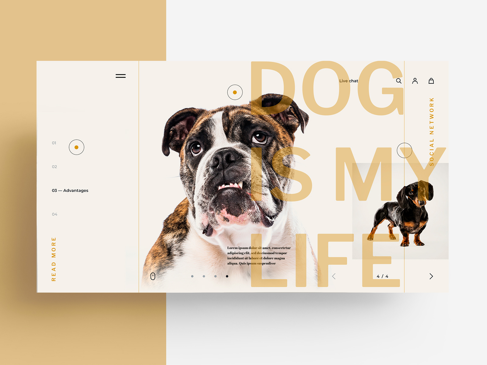 WEBSITE - DOG by matthieumartigny on Dribbble