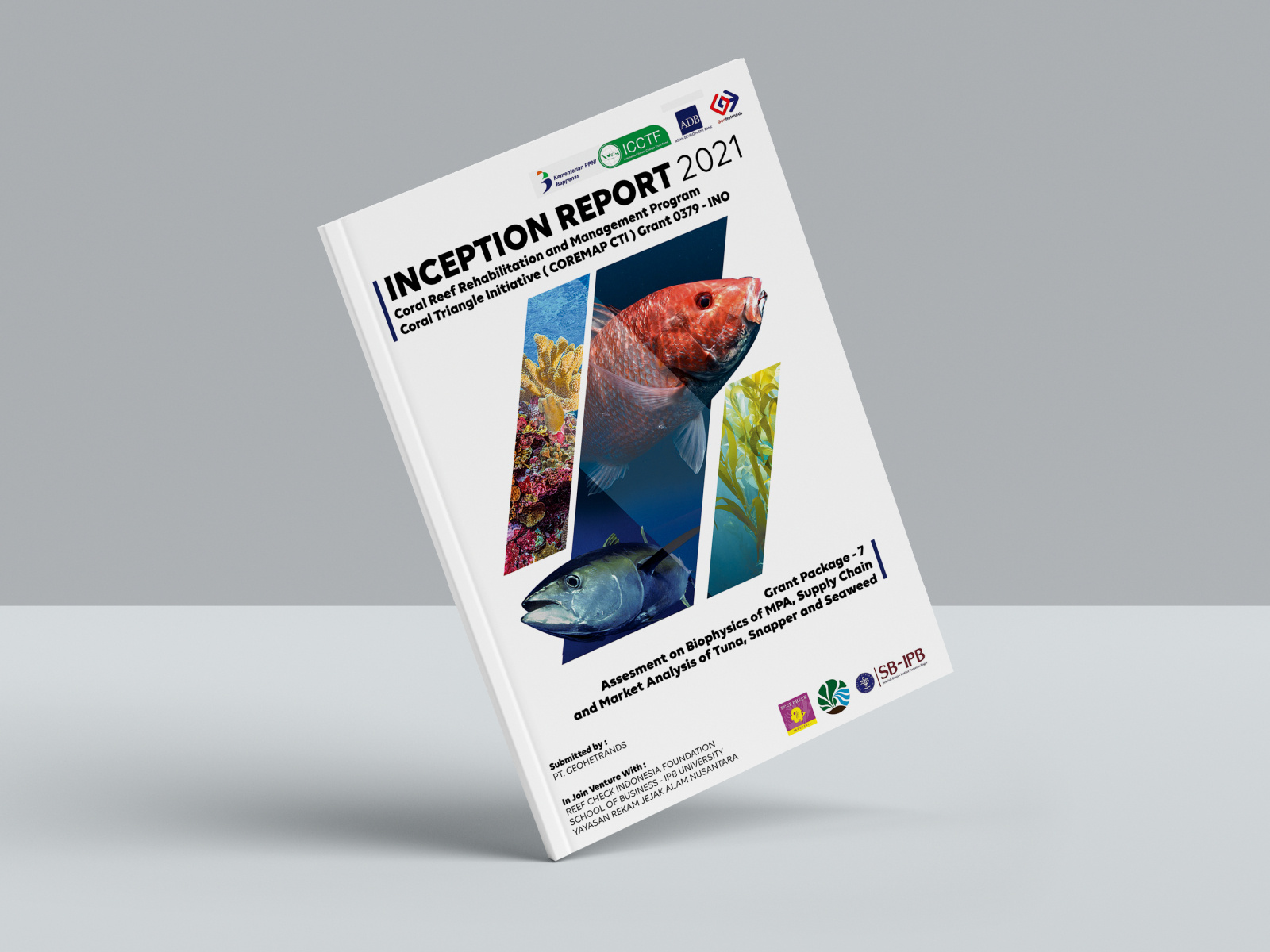 BOOK COVER - INCEPTION REPORT by Ellanda Pahsya Raffsanjani on Dribbble