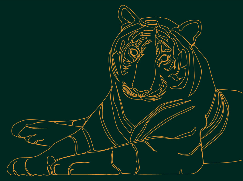 Tiger one line art by Graphic-Infinite on Dribbble