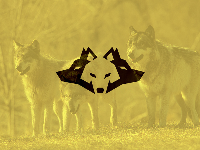 WolfPack by Daniel Bodea / Kreatank on Dribbble