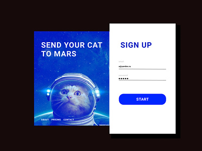 Auth form by Андрей Бороздин on Dribbble