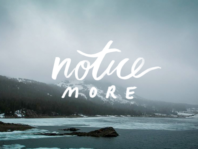 Notice More by Karen Schipper on Dribbble