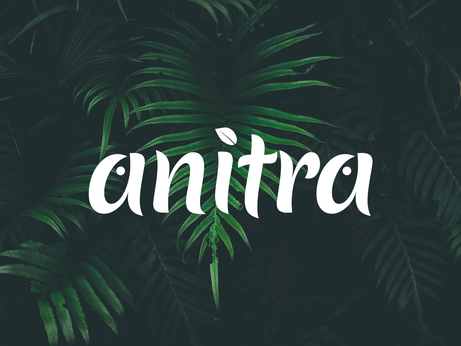 Anitra Logo by Jivan Shrestha on Dribbble