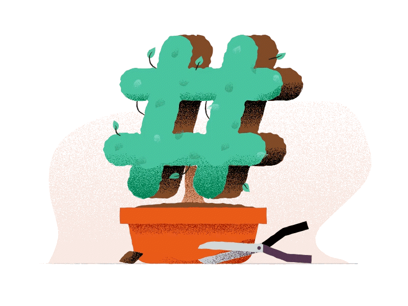 Browse thousands of Prune images for design inspiration | Dribbble