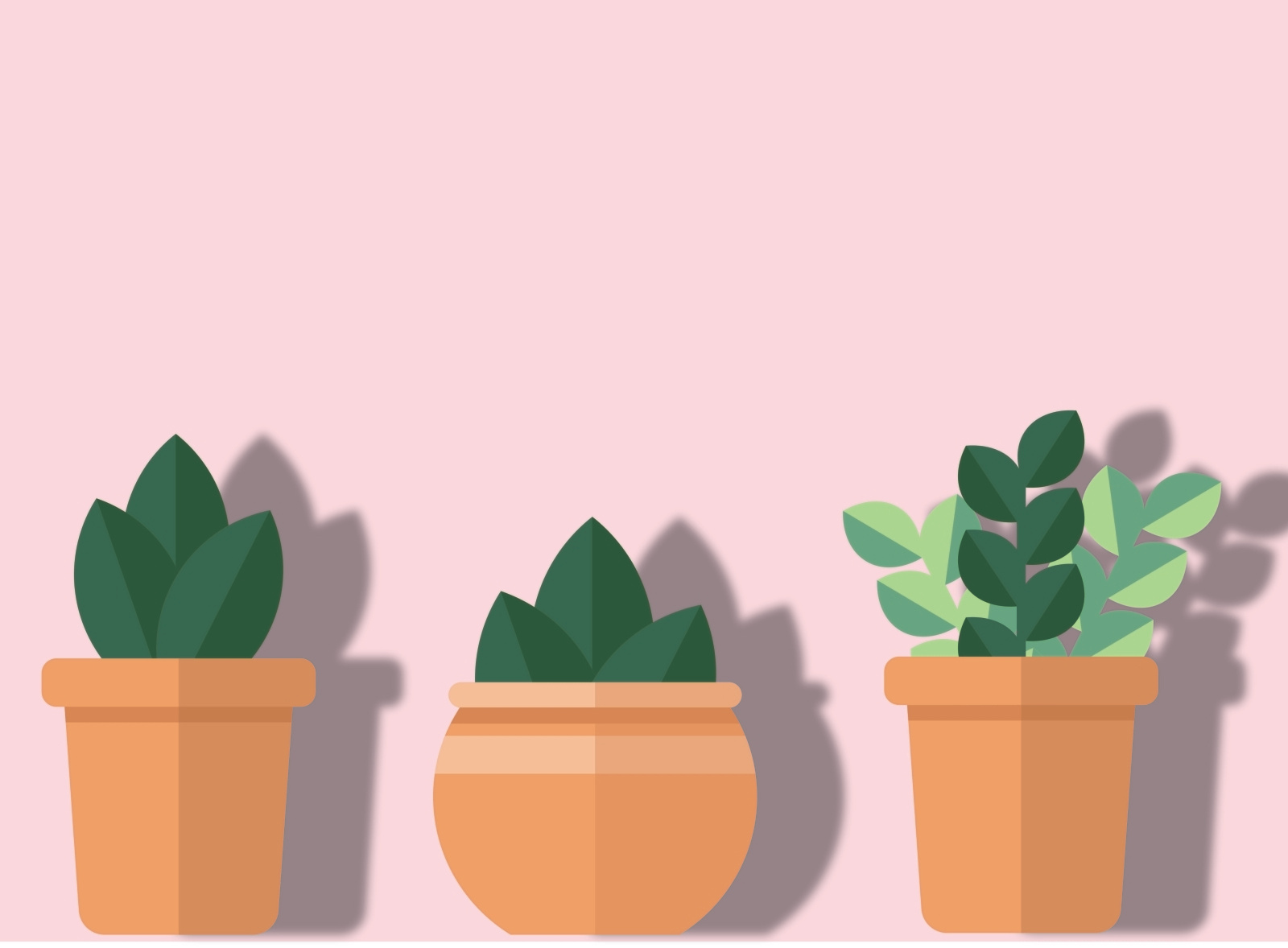 pots by lia kakalashvili on Dribbble