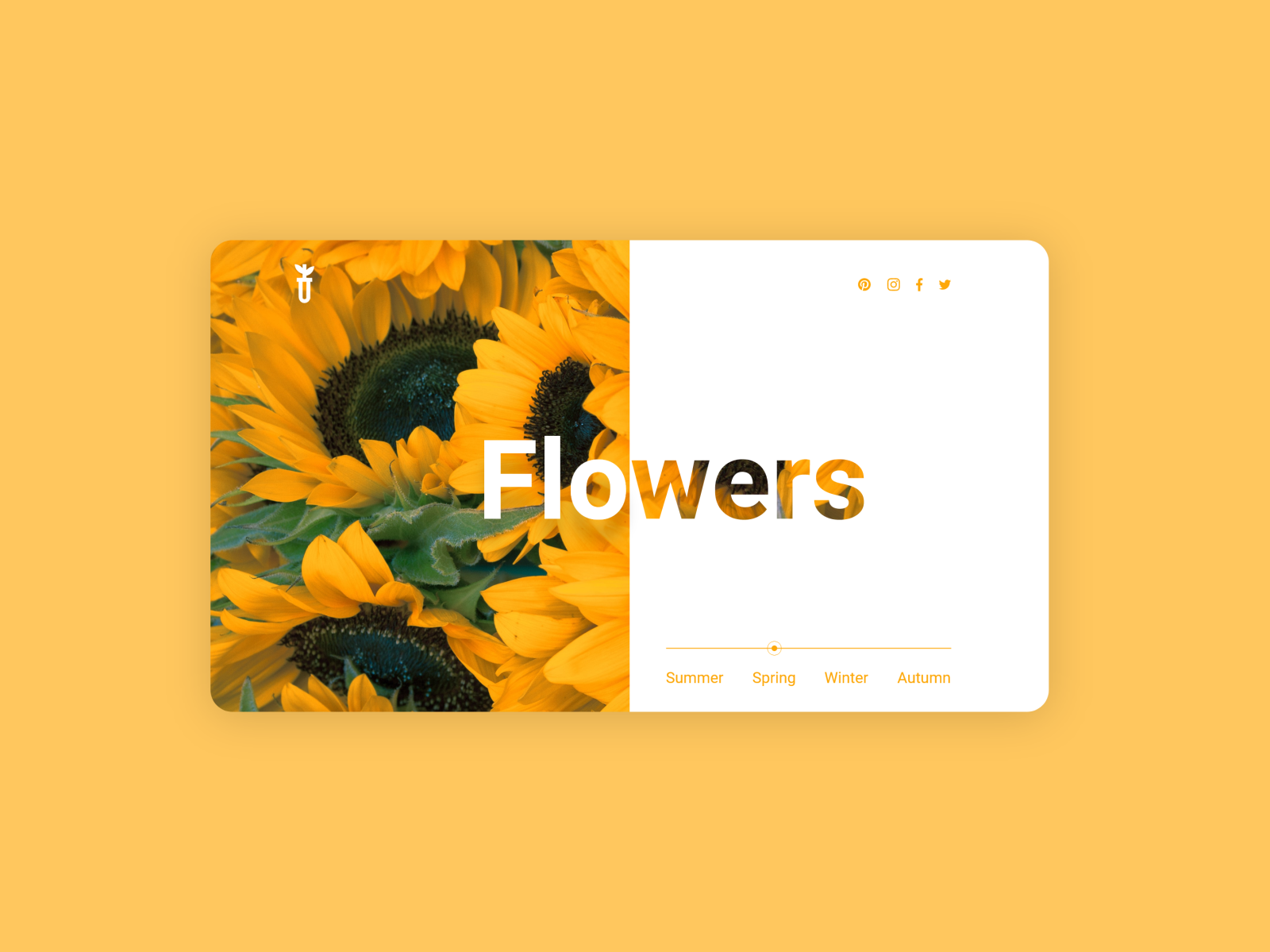 Flowers UI by Ibrahim Abo Obead on Dribbble
