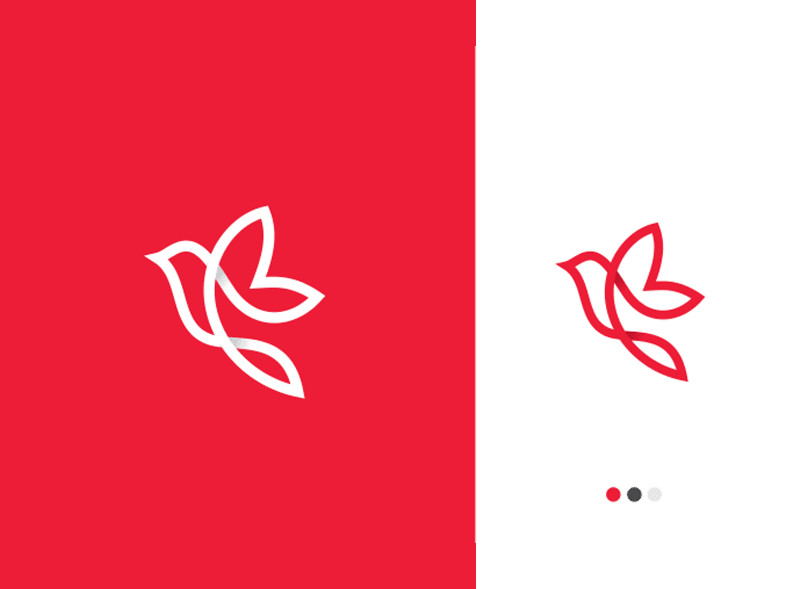 BRID LOGO DESIGN by Designer Apu on Dribbble